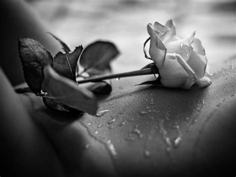 Vaginal Bloom Dominance And Submission Scene SubMrs Sexual Scene