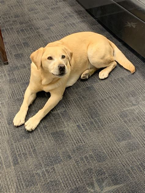 Css And Converge Takes On Spring Training Day Six — Circling Seattle