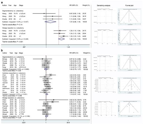 Segmentectomy And Wedge Resection For Elderly Patients With Stage I Non Small Cell Lung Cancer