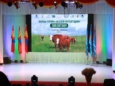 Үхрийн аж ахуй эрхлэгчид туршлага судалж байна Newswall