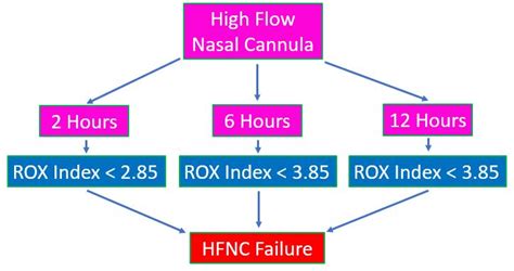 Rox Index All About Cardiovascular System And Disorders