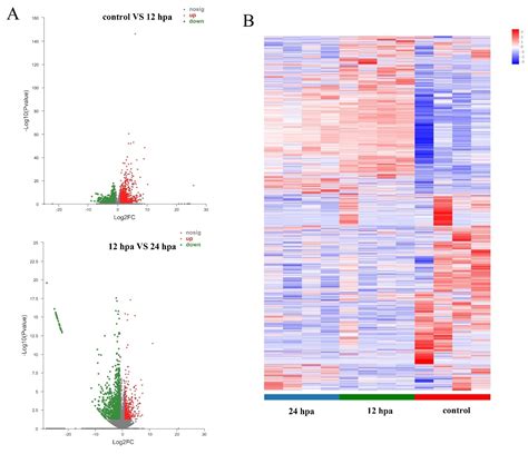Transcriptome Analysis Of Litopenaeus Vannamei During The Early Stage