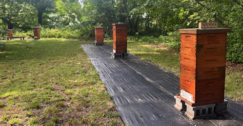 Teaching Apiary Session 4 5 2025 Long Island Beekeepers Club