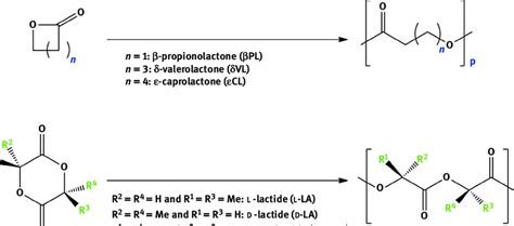1 Ring Opening Polymerization Of Unsubstituted Lactones And Lactides Download Scientific Diagram