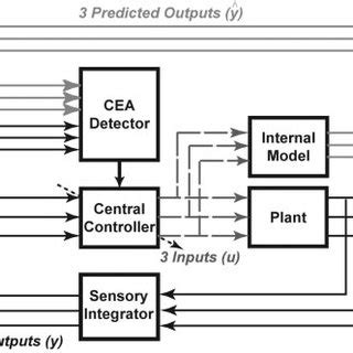 Block Diagram Of Multi Input Multi Output Model And Algorithm