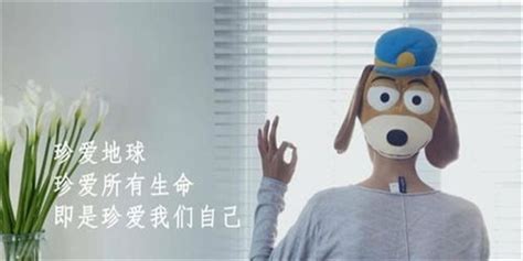 Css新手菜鸟入门指南教程 菜鸟学苑