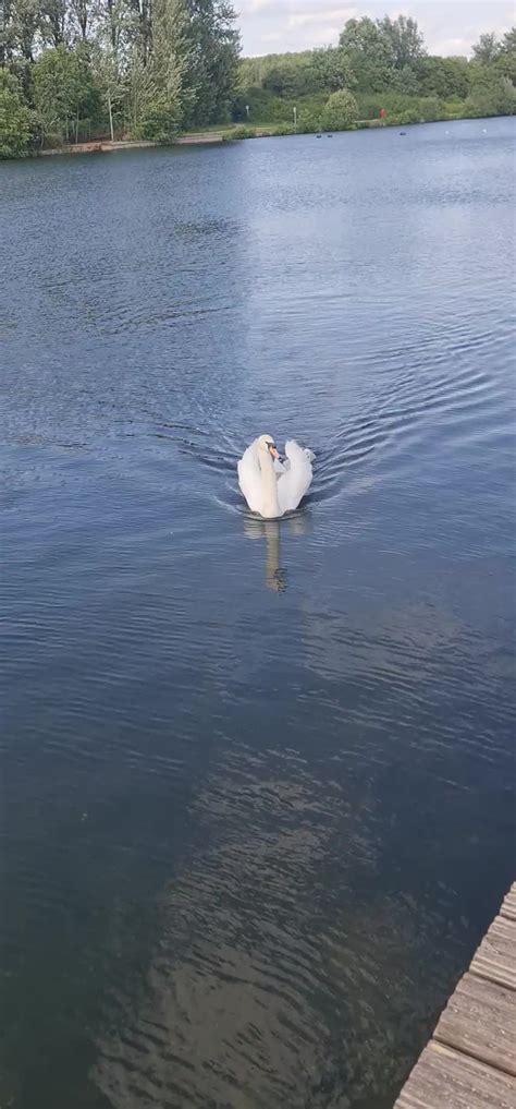 Deploy Bebbeh Album On Imgur