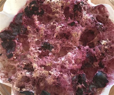 Rsu Researchers Work On Plant Fingerprints To Better Identify Counterfeit Herbal Medicines