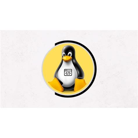 🔥course🔥[udemy] linux shell scripting beginner course 2023 shopee