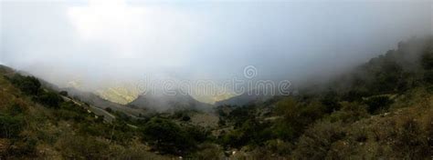 Aerial Panoramic View To Filfil Rainforest In Eritrea Stock Image Image Of Park Background