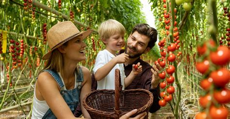 Editel Group On Linkedin Edi Editelgroup Supplychain