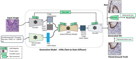 论文审查 Vims Virtual Immunohistochemistry Multiplex Staining Via Text
