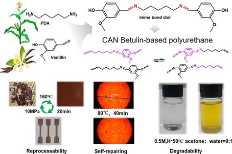 Polyurethane Structure Hot Melt Polyurethane Reactive Adhesives
