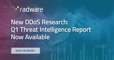 Radware On Linkedin New Research From Radware The Ddos Mitigation Experts Download Now