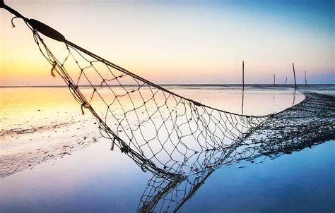 农村常见的捕鱼方法有哪些，你学会了吗？ 说明书网