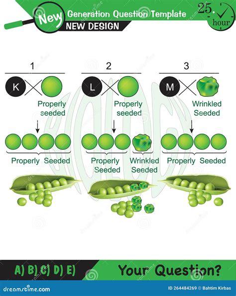 Biology Mendelian Genetics Eps Stock Illustration Illustration Of