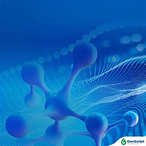 Plasmid Dna Preparation Services Reviews