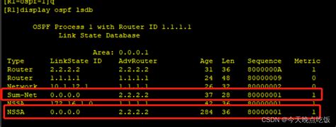 Ospf中stub、完全stub、nssa、完全nssa区域 Csdn博客