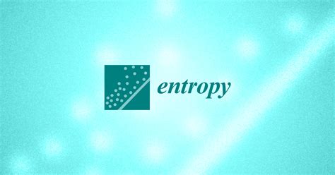 Entropy Special Issue Suuri Of Information Geometry Dedicated To Suuri Engineer Professor