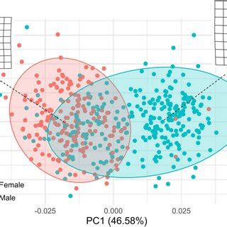 Principal Component Analysis Of Procrustes Coordinates Of Sexually Download Scientific Diagram