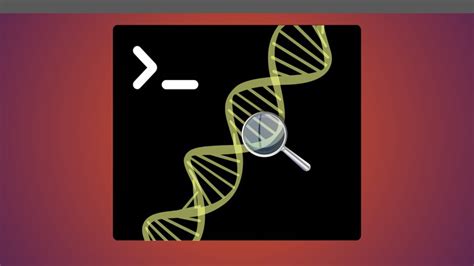 Gene Prediction Bioinformatics Protocols For Finding Genes