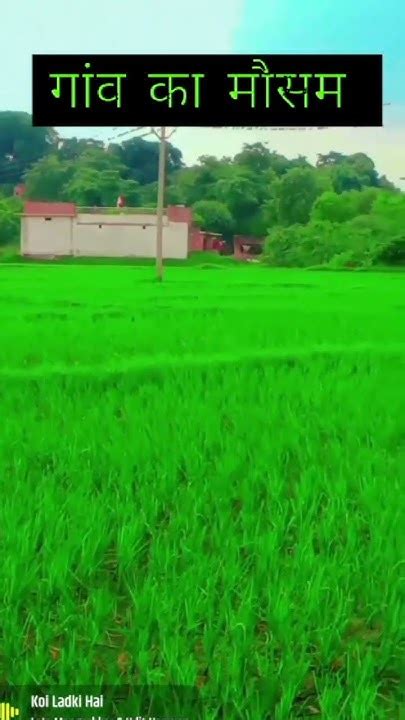 गांव का माहोल 🥰🥰 Youtube