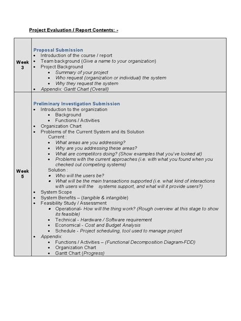 Comprehensive Project Evaluation Report Pdf Computers