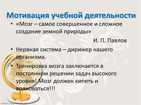 Соматический и вегетативный отделы нервной системы презентация онлайн