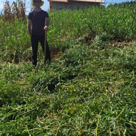 Andre Da Costa Instituto Federal De Educação Ciência E Tecnologia Catarinense Ifc Blumenau