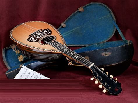 Mandolin Organology Musical Instruments Encyclopedia