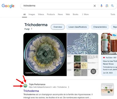 Trichoderma Biocontrol Biostimulants Number1 Biosolutions Boost