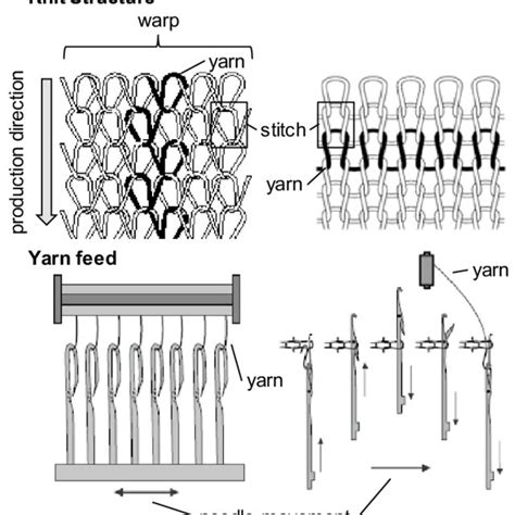 Top Schematic Drawing Of Warp Knitted Left And Weft Knitted Right
