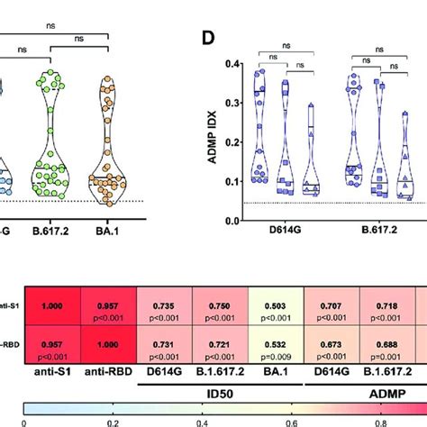 Functional Characteristics Of Anti Sars Cov 2 Serum Antibodies After