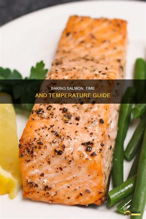 Baking Salmon Time And Temperature Guide Shungrill