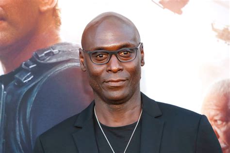 Lance Reddick Cast As Albert Wesker In Netflixs Resident Evil Series