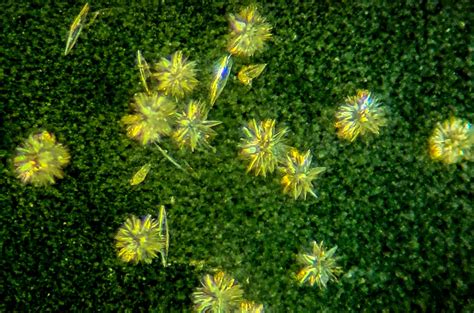 ‘breakthrough Could Explain Why Life Molecules Are Left Or Right Handed Science Aaas