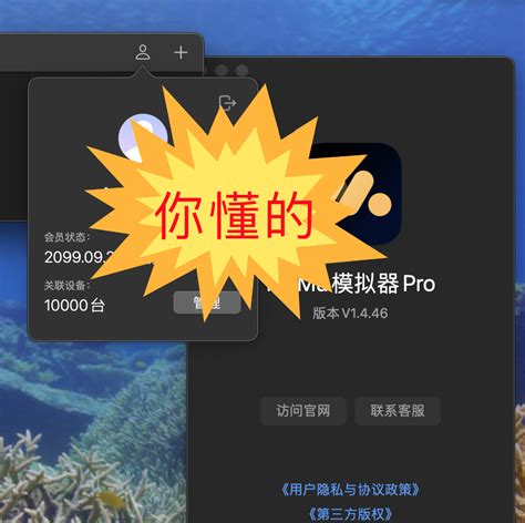 如何在雷电模拟器上设置金铲铲之战 雷电模拟器 淘宝百科网