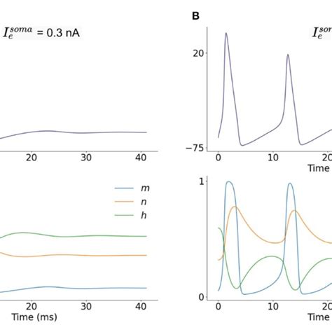 A Single Compartment Model Of A L2 L3 Pyramidal Neuron With Download Scientific Diagram