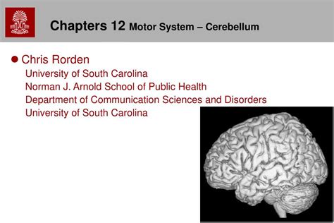PPT Chapters Motor System Cerebellum PowerPoint Presentation Free Download ID