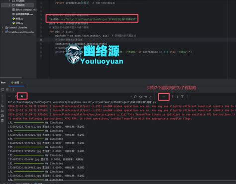 基于卷积神经网络的图像二分类检测模型训练与推理实现教程 幽络源 卷积神经网络二分类 csdn博客