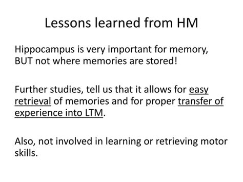 Limbic System Pptx Limbic System Pptx