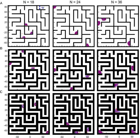 Impact Of Maze Geometrical Confinement And Swarm Size On Cargo Capture