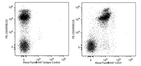 Alexa Fluor® 647 Rat Anti Mouse Cd31