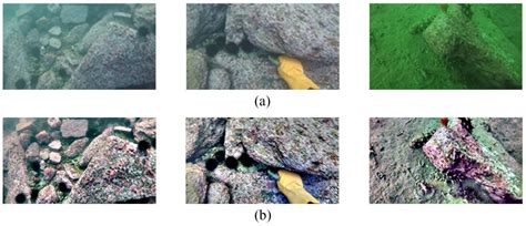 Jmse Free Full Text High Speed And Precision Underwater Biological