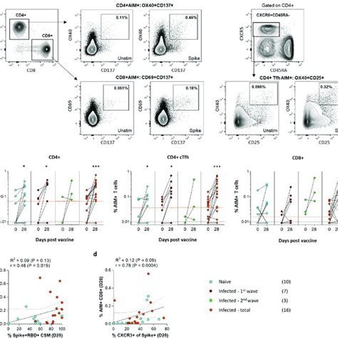 Spike And Receptor Binding Domain Rbd Specific Memory B Cell
