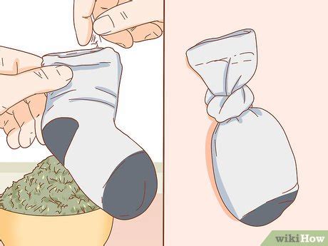 How To Give Catnip To Your Cat Pet Tips How To Give Catnip To Your Cat Pet Tips