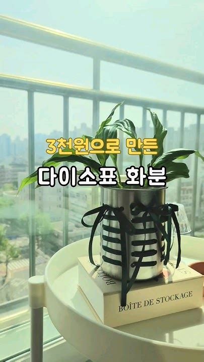3천원으로 만든 화분 식물인테리어 플랜테리어 다이소diy 다이소diy 식물초보 Youtube