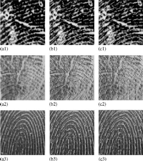 Orientation Estimation Based On Gradient And Orientation Smoothing