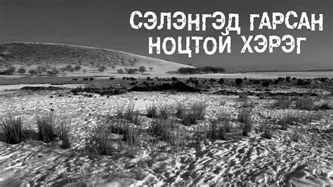 Хүйтний амыг чиглэсэн хөтөлгөө морьтой Рагчаа Youtube