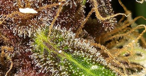 Imgur The Magic Of The Internet